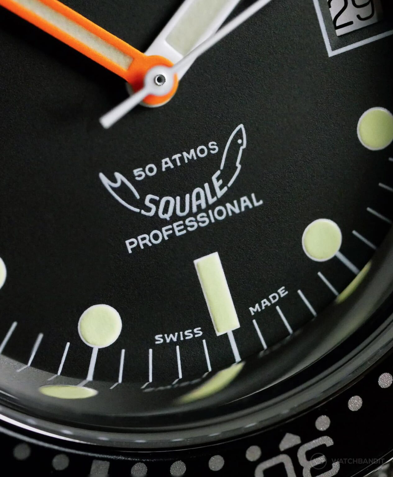 Squale Watches - WATCHBANDIT